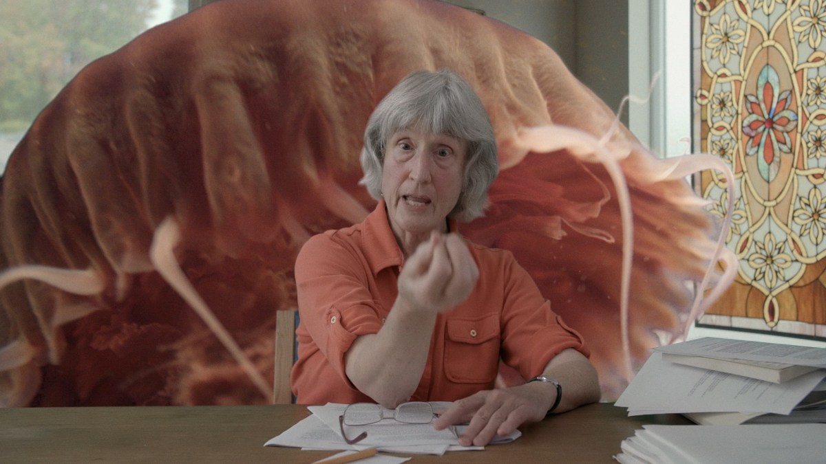 Donna Haraway: pensar, imaginar, tejer modos de vida en un planeta ...